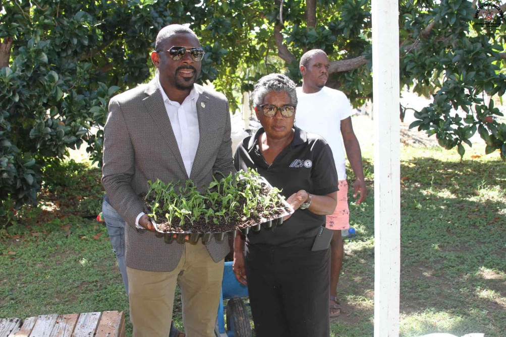 Exclusive: Dominica announces dates for Mas Dominik 2025, get ready for ...