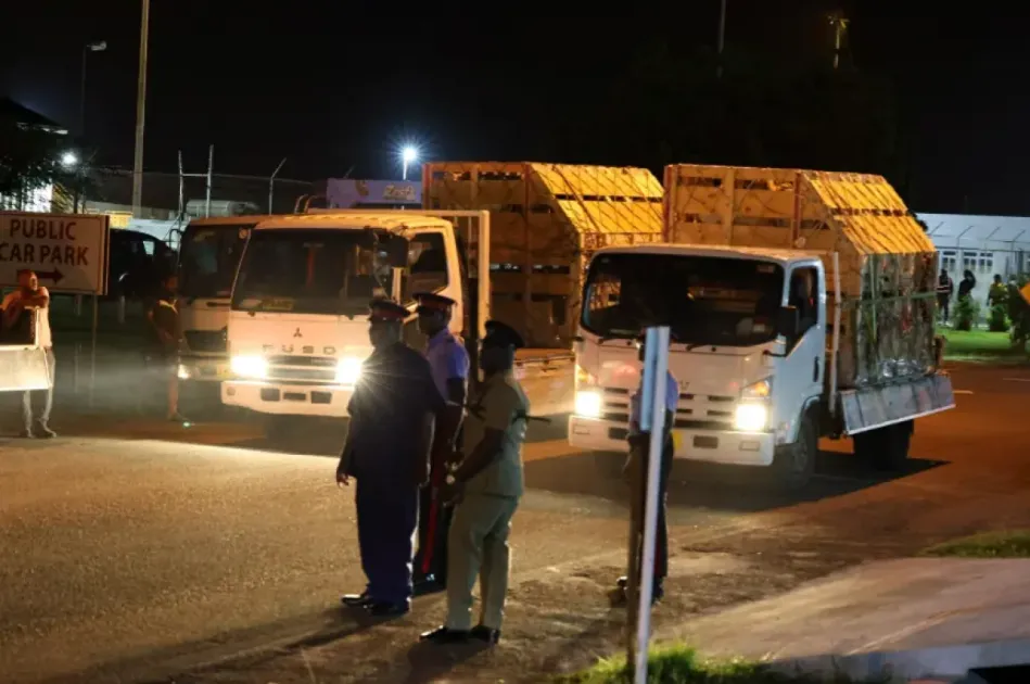 Grenada imports alive 466 pigs, sheep & goats worth $4M from the US ...