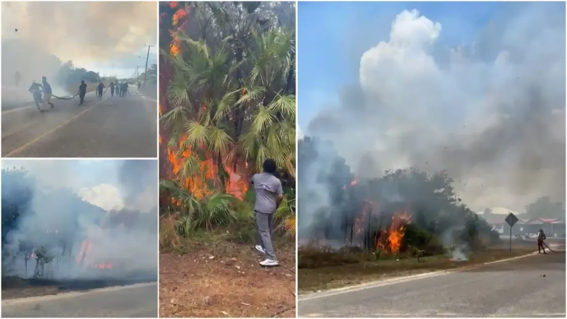 Belize: Massive bushfire engulfs Hopkins Road, threatening homes and ...