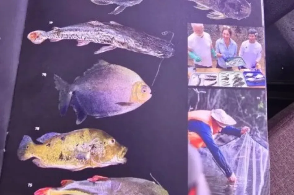 33 new fish species discovered in Guyana after 2024 expedition - WIC News