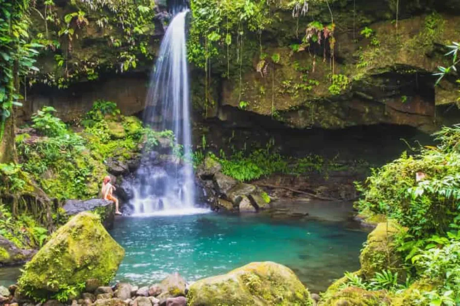 Dominica crowned Caribbean’s Leading Nature Destination 2025 at World ...