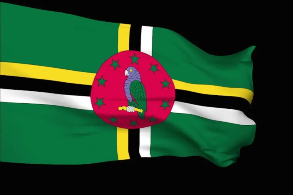 Former Dominica senator to get official funeral tomorrow - WIC News