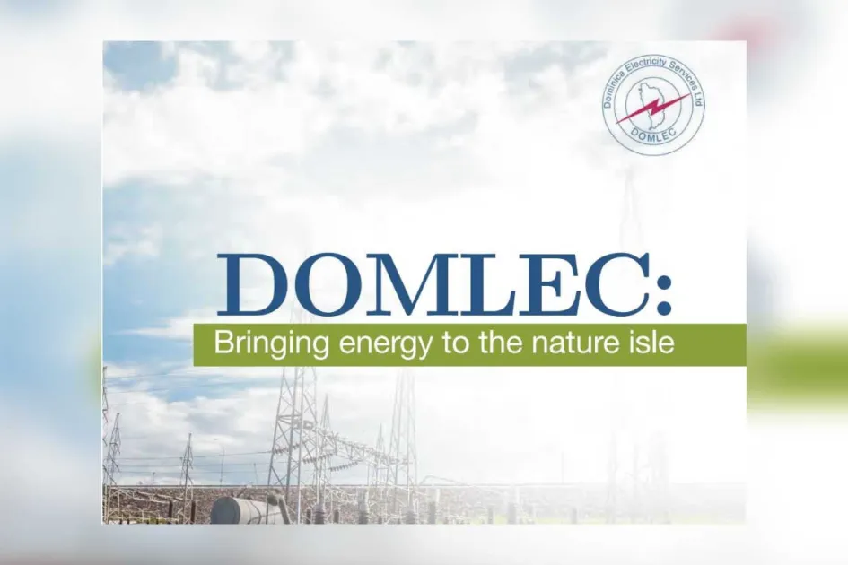 Government of Dominica to acquire majority shares in DOMLEC - WIC News